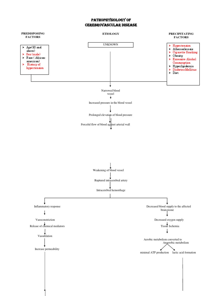 Pathophysiology of Cerebrovascular Disease: Predisposing Factors Etiology Precipitating Factors ...
