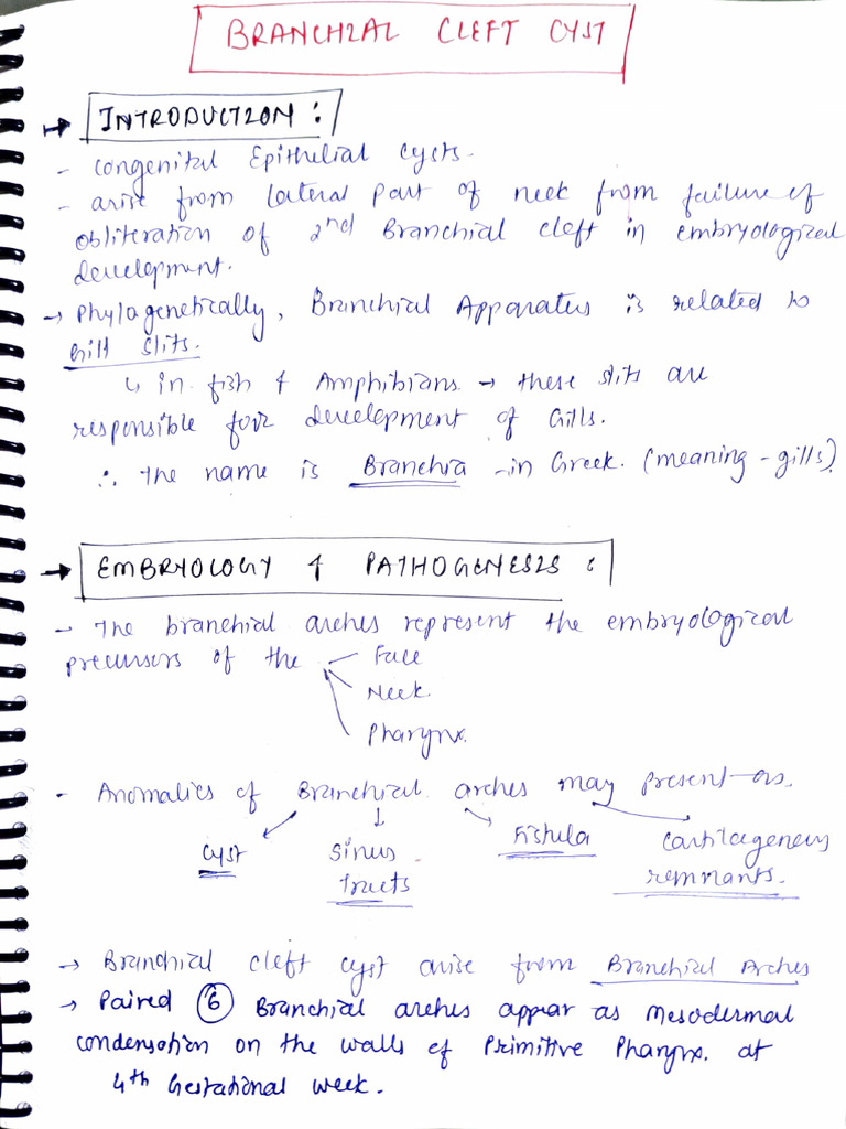 Branchial Cleft Cyst | PDF