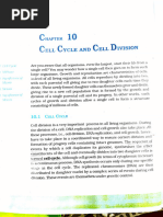Cell Cycle and Cell Division Annotated NCERT | PDF | Meiosis | Mitosis