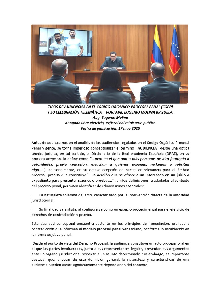 0 Tipos de Audiencias en El Código Orgánico Procesal Penal (Copp) | PDF ...