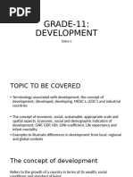 Grade 11 Geography: Development Concepts | PDF | Gini Coefficient ...