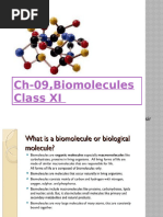 Acid Soluble vs. Insoluble Pools in Biomolecules | PDF | Enzyme ...