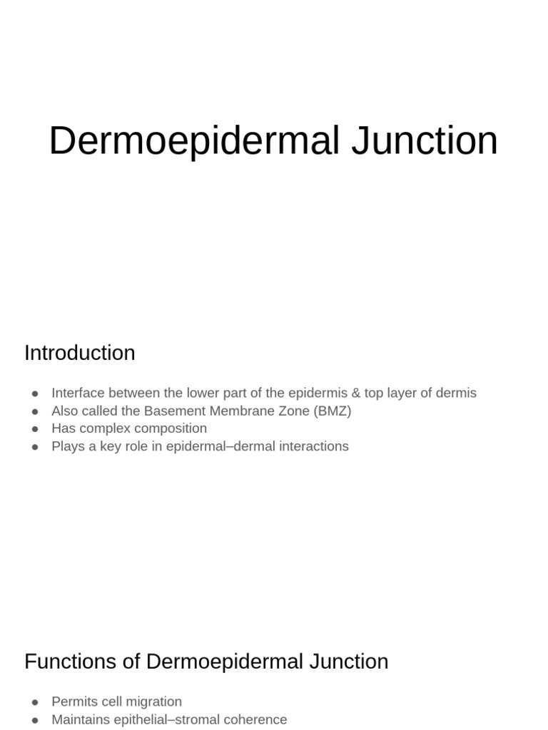 Dermoepidermal Junction Overview | PDF | Cell Adhesion | Integrin