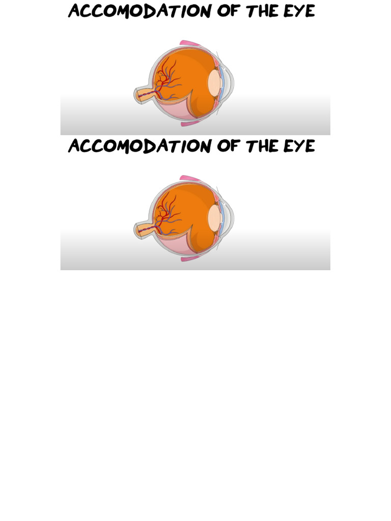 Accommodation For The Eye | PDF