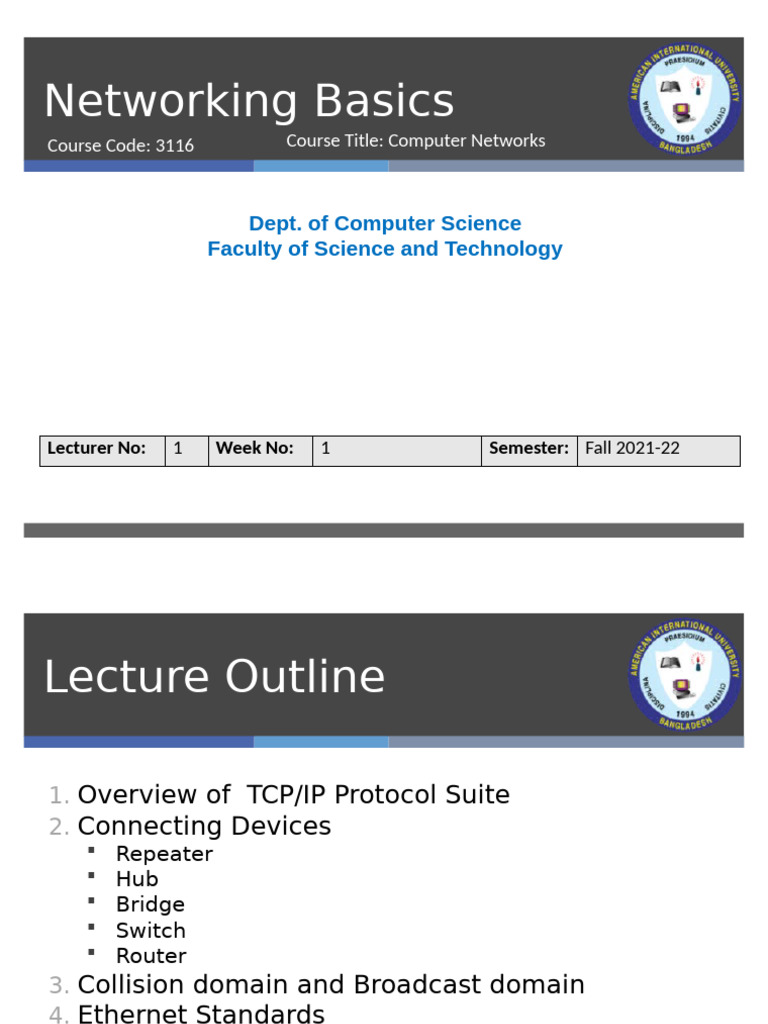 Lecture 1 Networking Basics 9 | PDF | Internet Protocol Suite | Computer Network