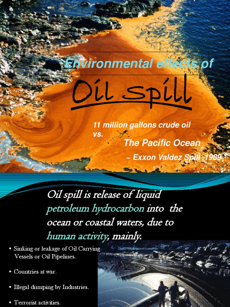 Environmental Effects Of: The Pacific Ocean | PDF | Oil Spill | Marine ...