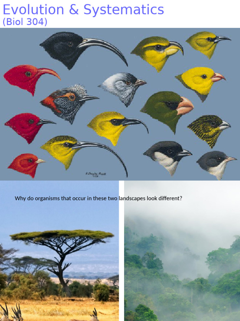 History of Evolutionary Theory | PDF