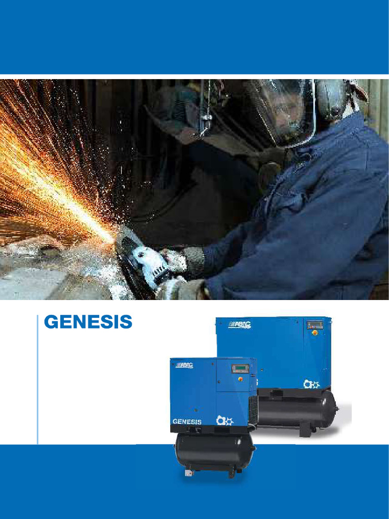 Genesis Abac | PDF