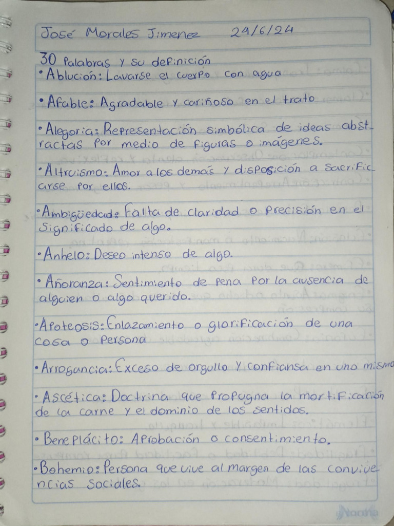 30 Palabras y Su Definición | PDF