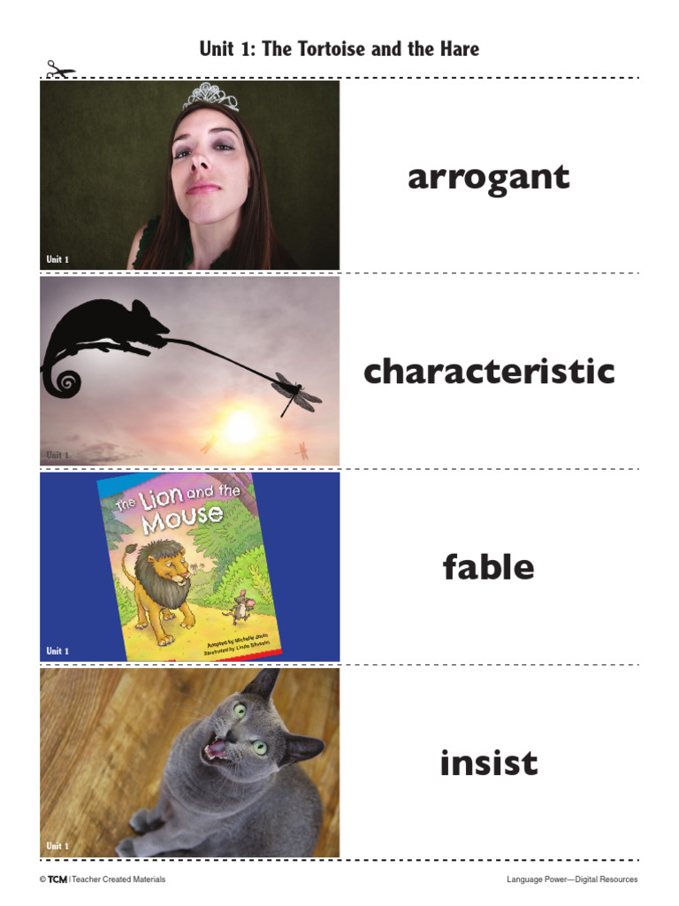 3 Tortoisehare Vocab | PDF