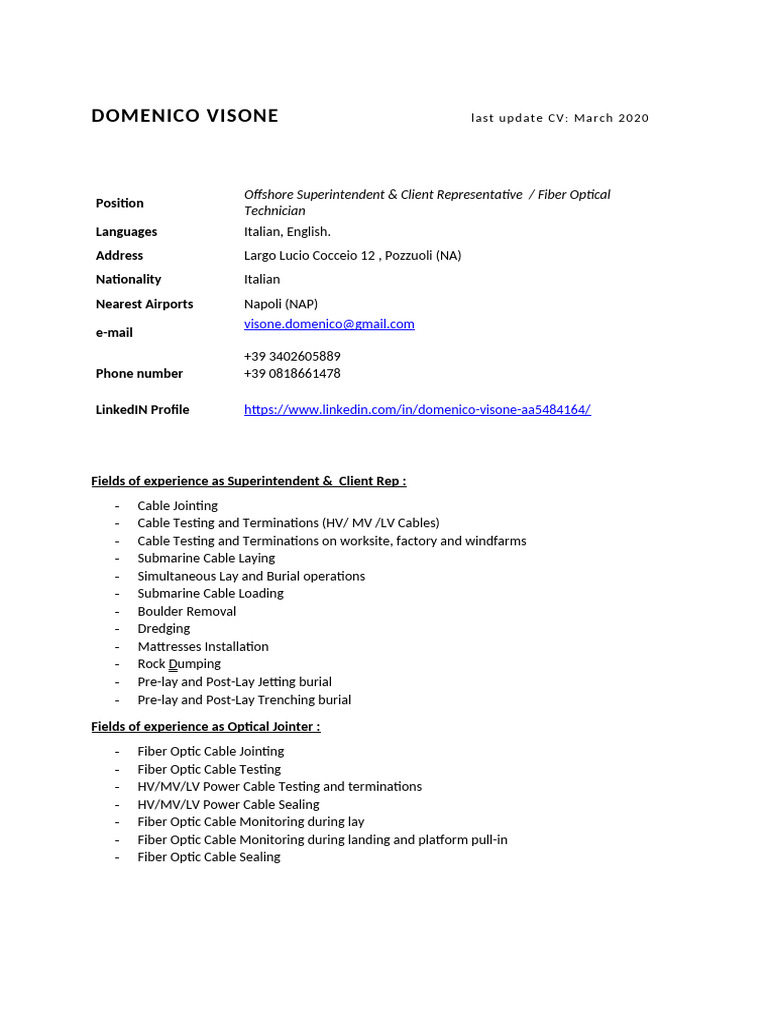 CV OffShore Domenico Visone | PDF