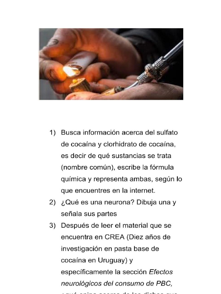 Tarea 2 Pasta Base | PDF