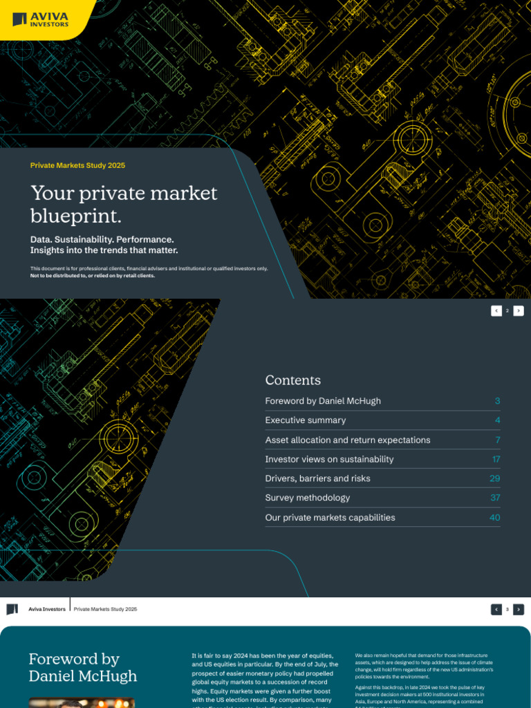 Aviva Investors Private Markets Outlook 2025 | PDF | Investing ...