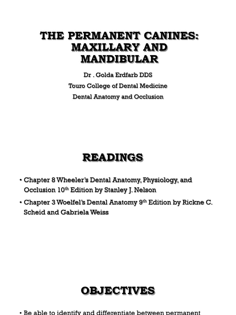 Maxillary and Mandibular Canines Overview | PDF | Dental Anatomy ...