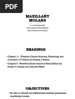 Upper 6 | PDF | Dental Anatomy | Dentistry Branches