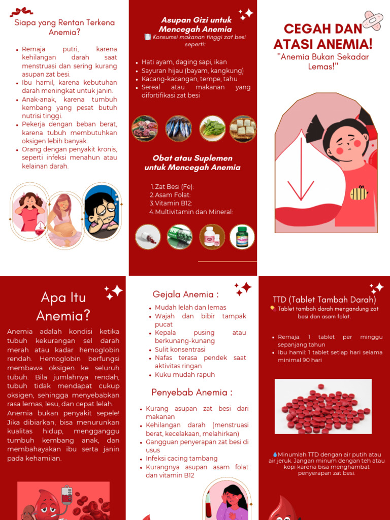 Menu Sehat Ibu Hamil Cegah Anemia | PDF