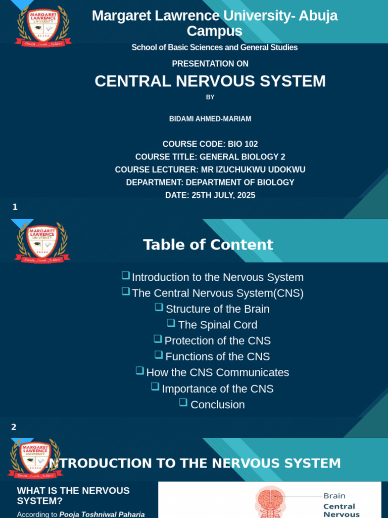 Overview of the Central Nervous System | PDF | Central Nervous System ...