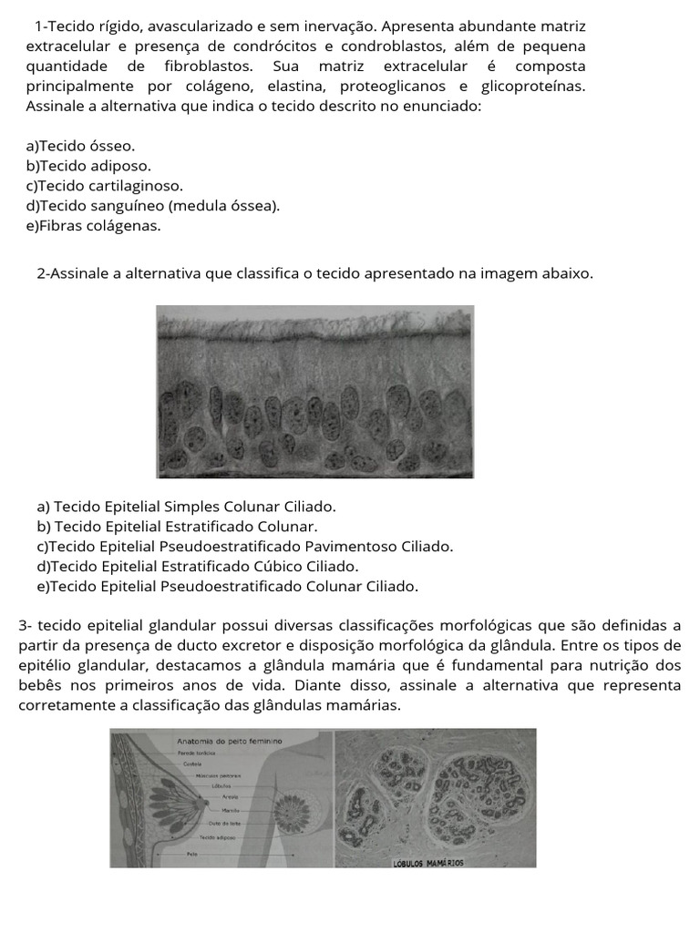 Tecido rígido, avascularizado e sem inervação. Apresenta abundante ...