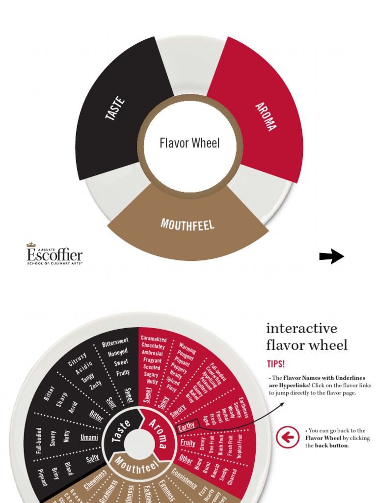 Interactive Flavor Wheel | PDF | Taste | Umami