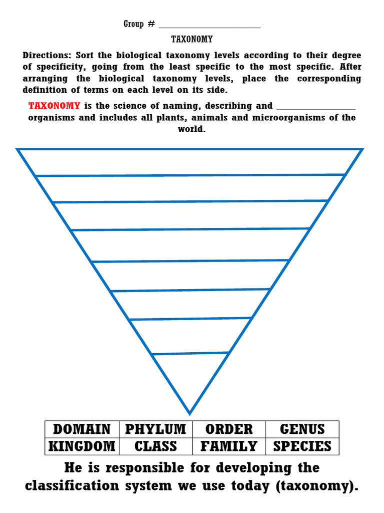 Taxonomy Activity | PDF