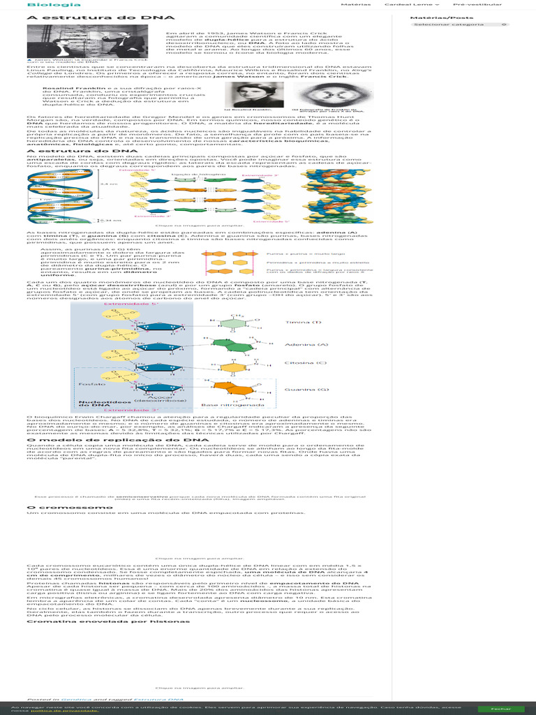 Estrutura e Função do DNA | PDF | DNA | Cromossomo