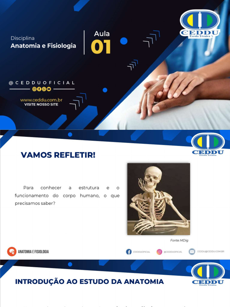 Anatomia Aula 01 | PDF