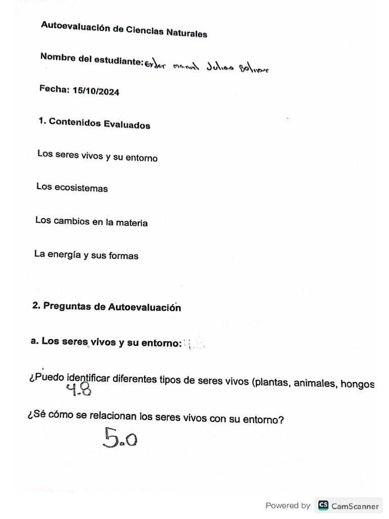 Autoevaluacion Cuarto Periodo | PDF