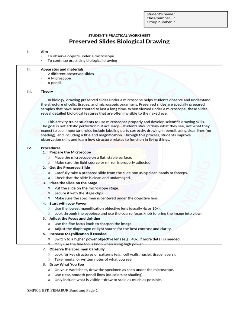 Microscope Slide Drawing Worksheet | PDF | Microscope | Microscopy