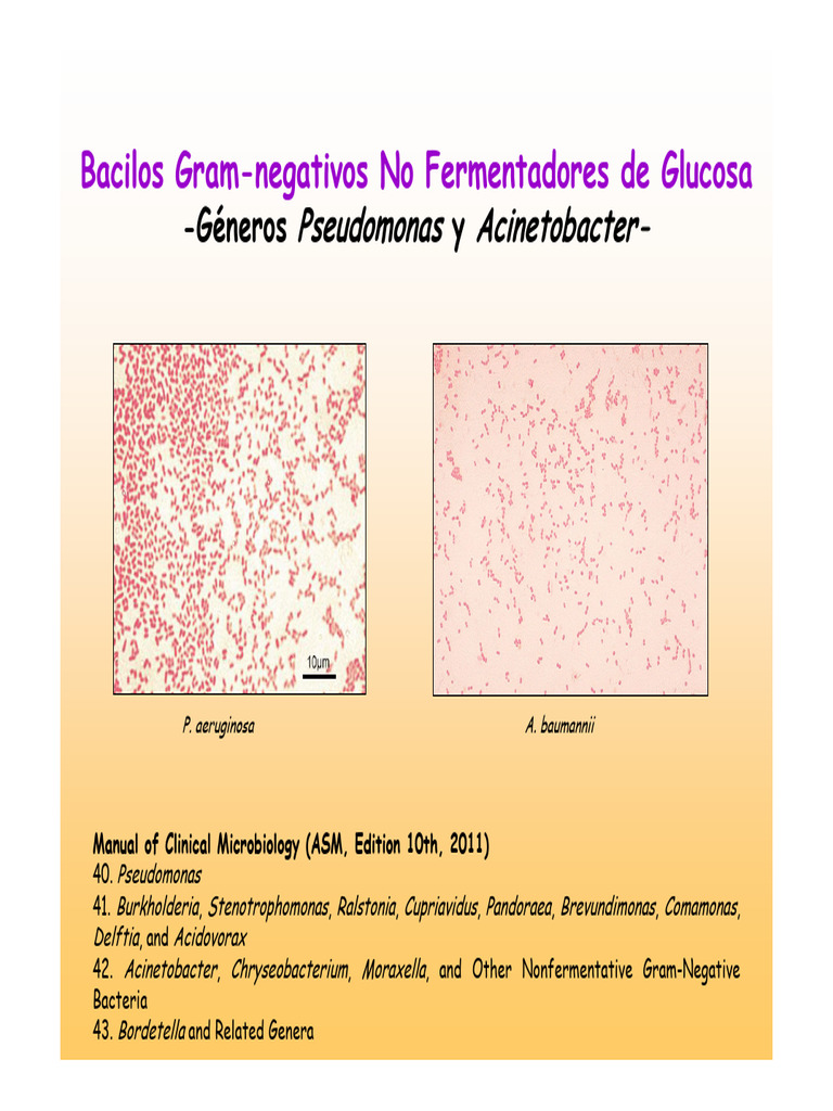 BNF 2013 | PDF | Pseudomonas | Biopelícula