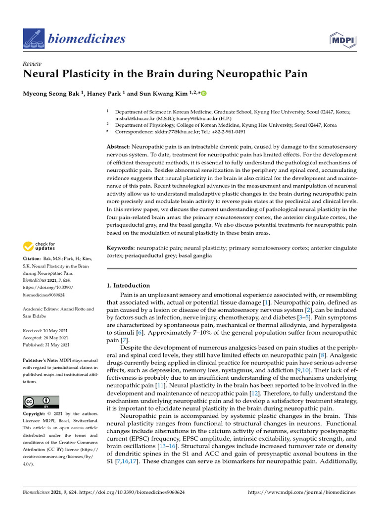 Neural Plasticity in The Brain During Neuropathic Pain | PDF | Basal ...