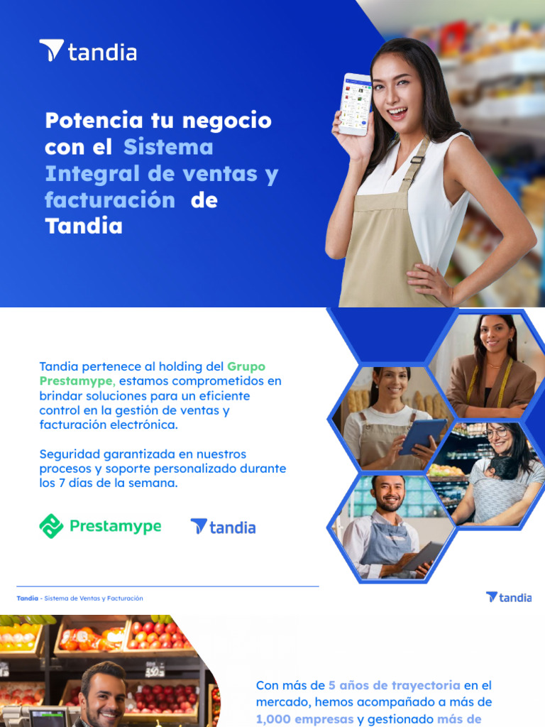 Sistema de Ventas y Facturación Tandia | PDF