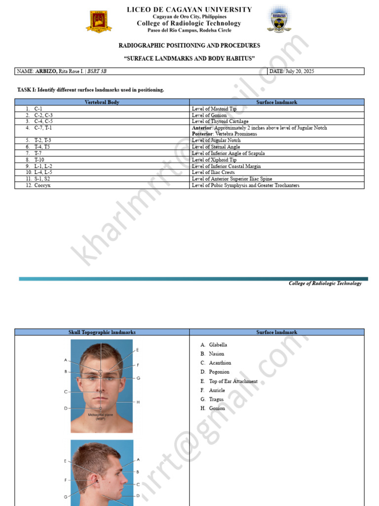 Radiographic Positioning - GC 2 Surface Landmarks and Body Habitus ...