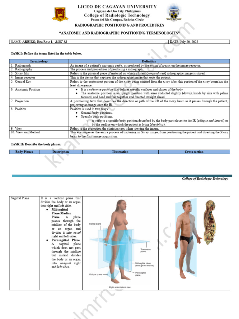 Radiographic Positioning Terminology Guide | PDF | Anatomical Terms Of ...
