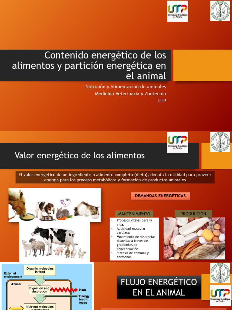 Valor Energético en Nutrición Animal | PDF | Alimentos | Energía ...