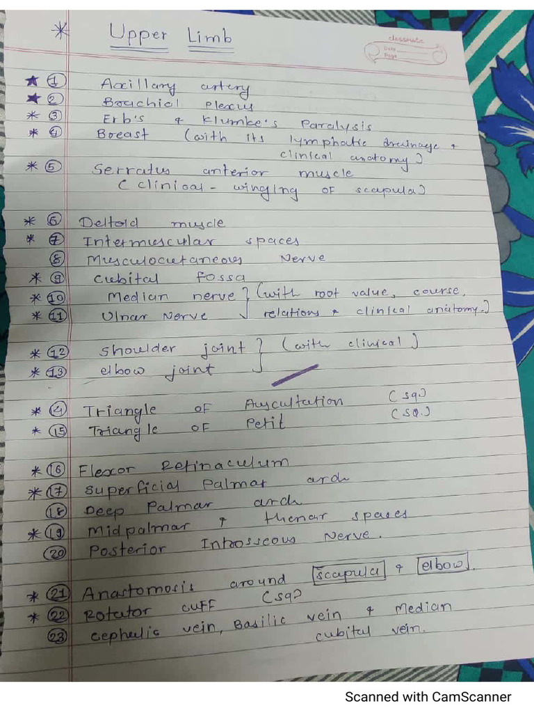 Anatomy Imp | PDF