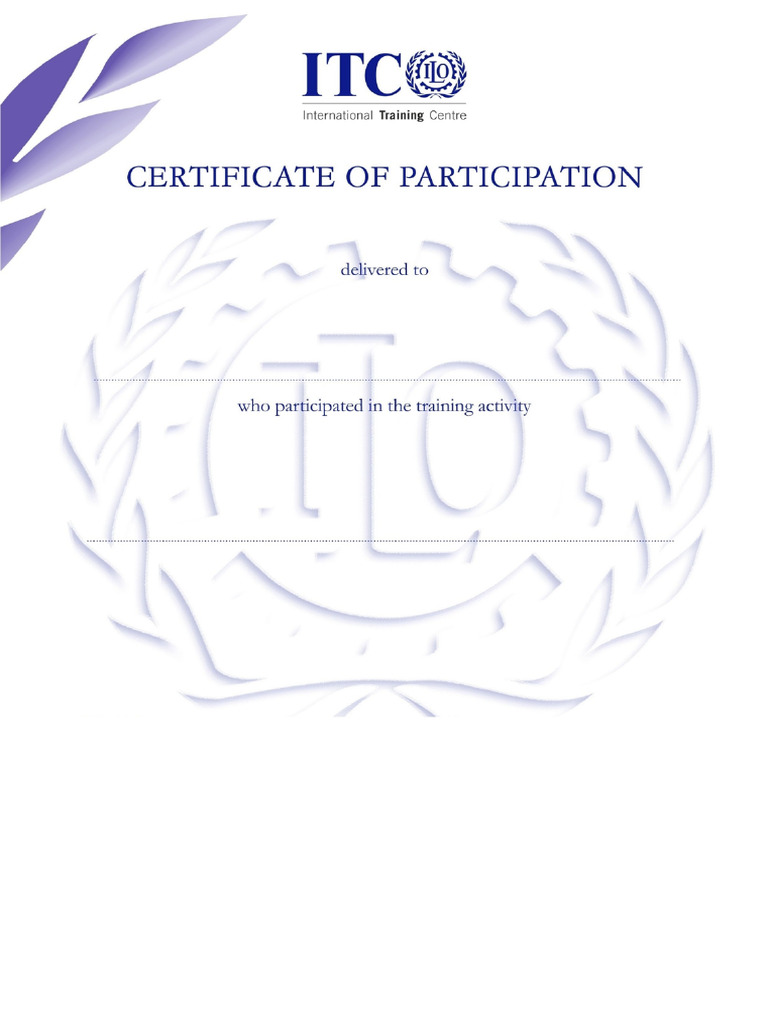 An Introduction To The MNE Declaration-Certificate Business and Decent ...