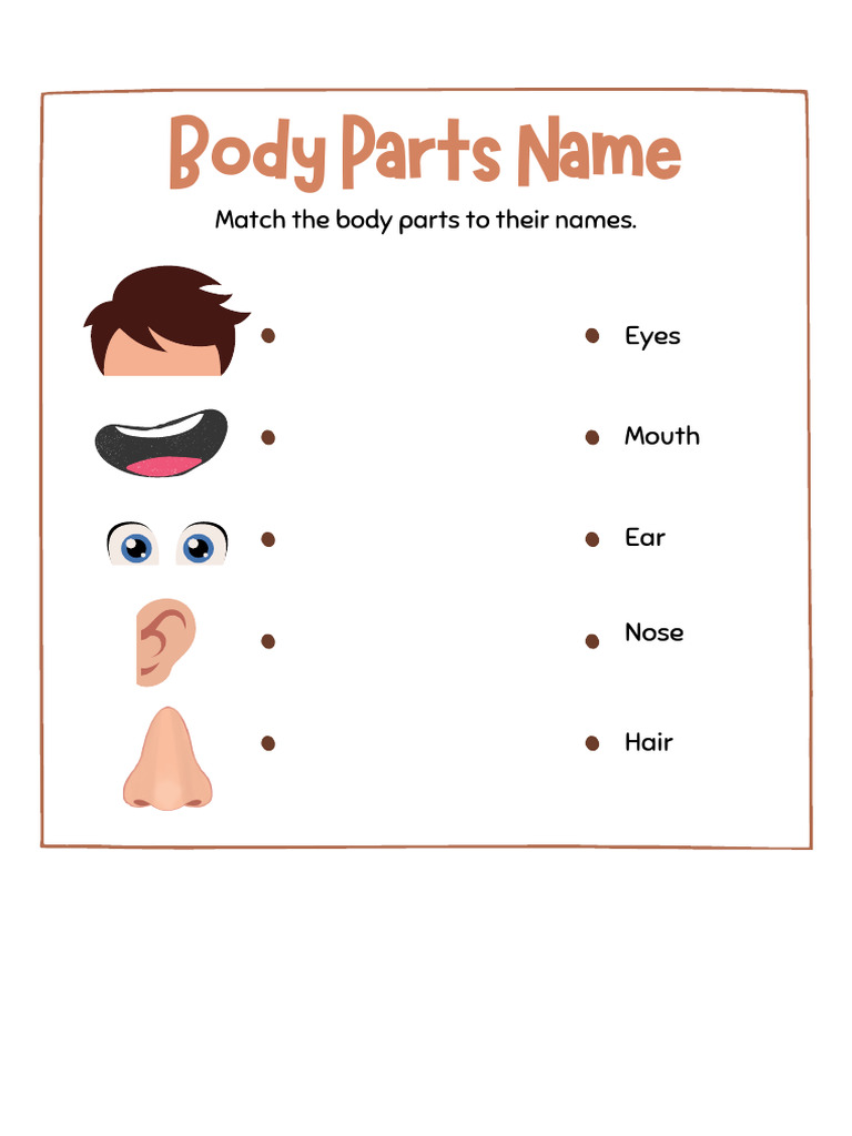 Match The Body Parts Name Worksheet 1ero | PDF