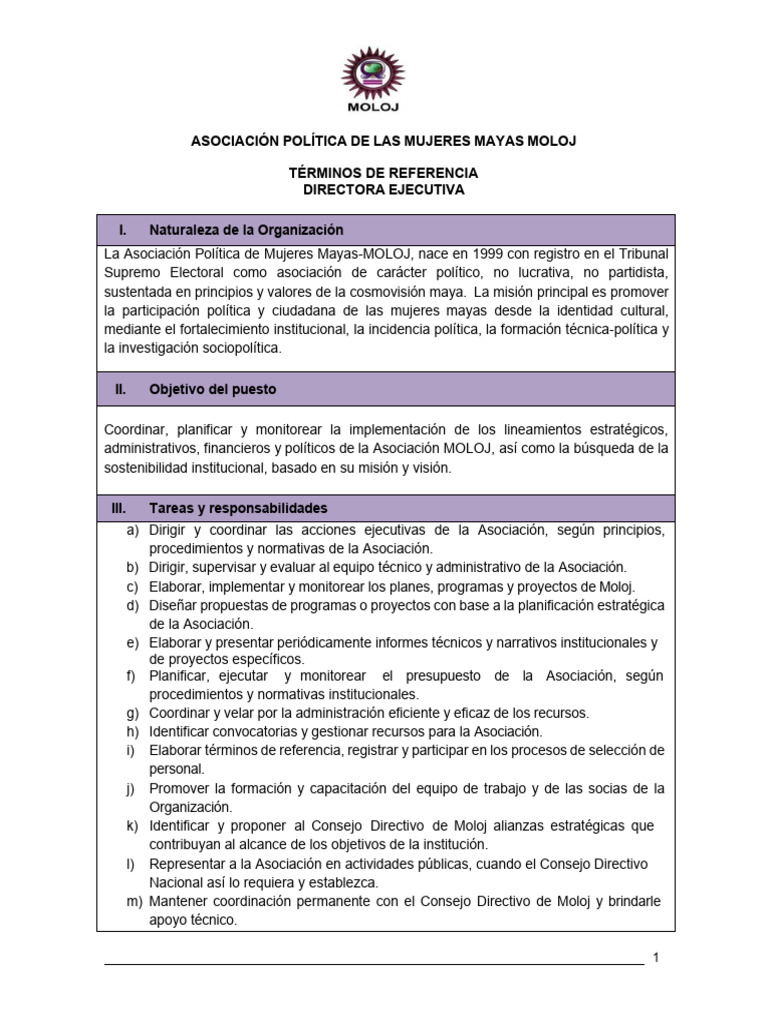 Directora Ejecutiva Asociación MOLOJ | PDF | Planificación