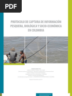 Guia Rapida para Usar ImageJ PDF | PDF | Informática | Software