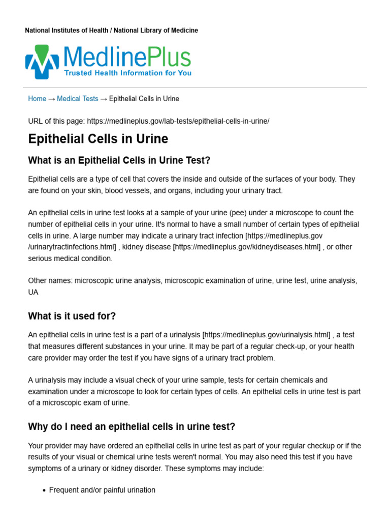 Epithelial Cells in Urine MedlinePlus Medical Test | PDF | Urine ...