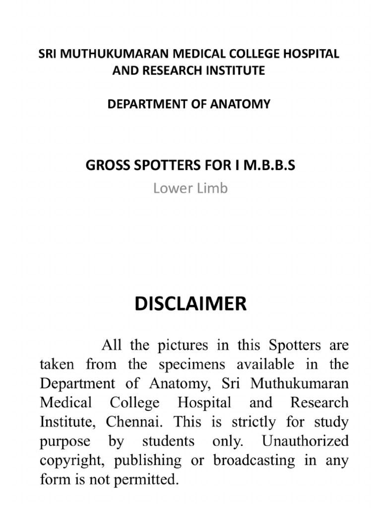 Lower Limb Spotters 2 | PDF