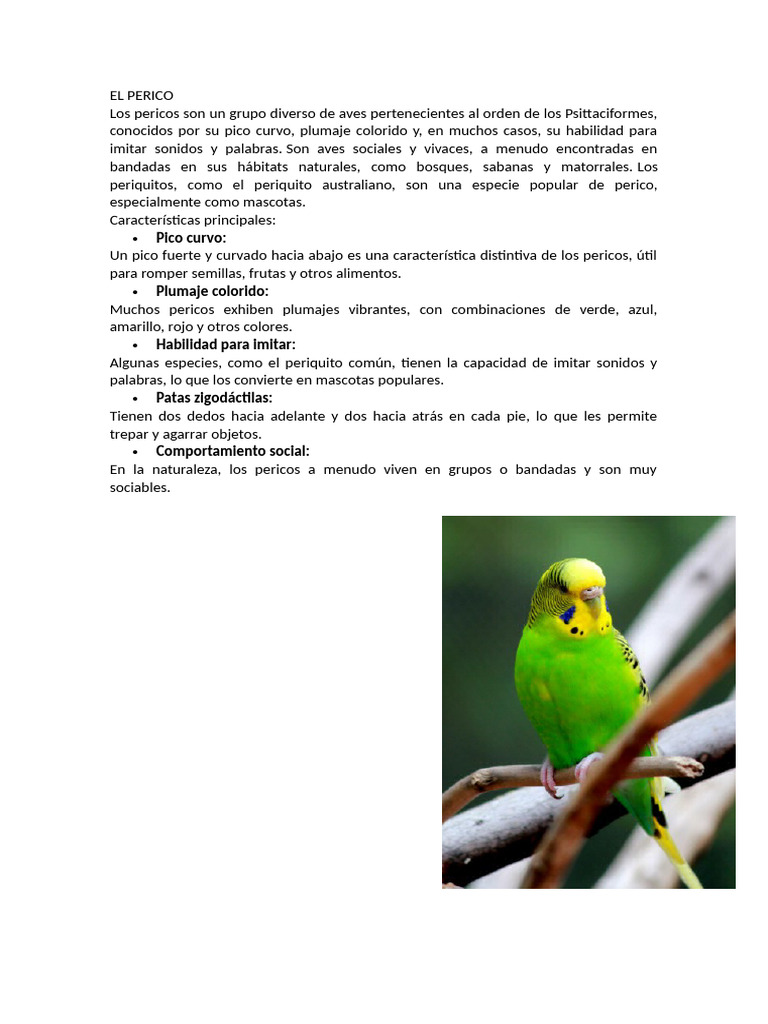 El Perico | PDF