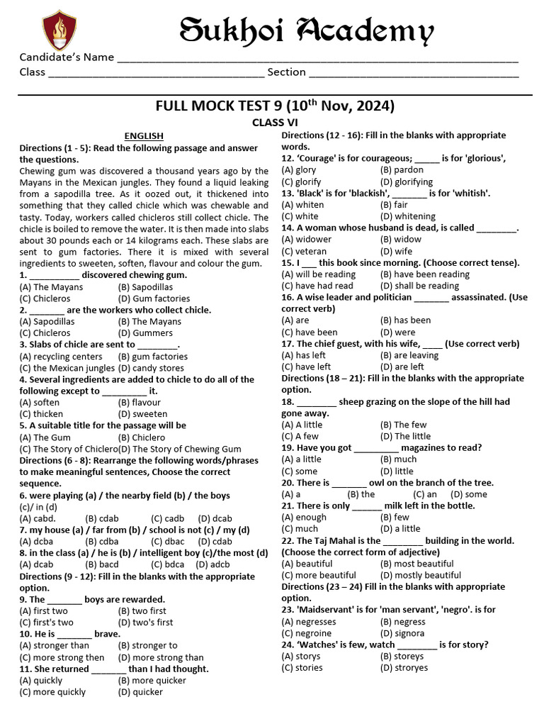 Full Mock Test for Class VI English | PDF | Division (Mathematics)
