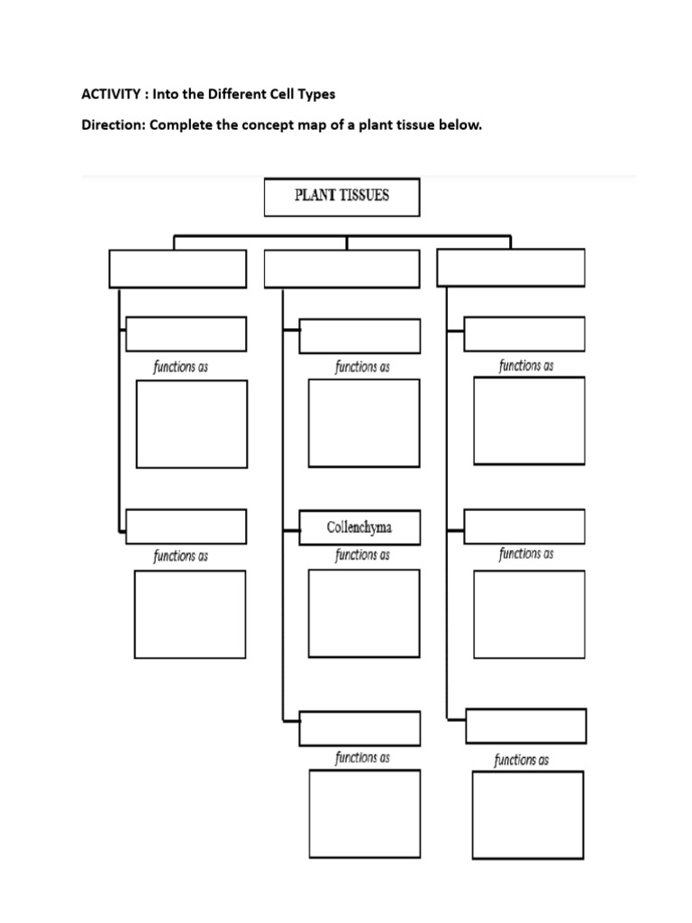 Activity (Plant Tissues) | PDF