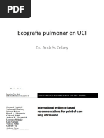 Protocolo Blue | PDF | Enfermedades y trastornos | Neumología
