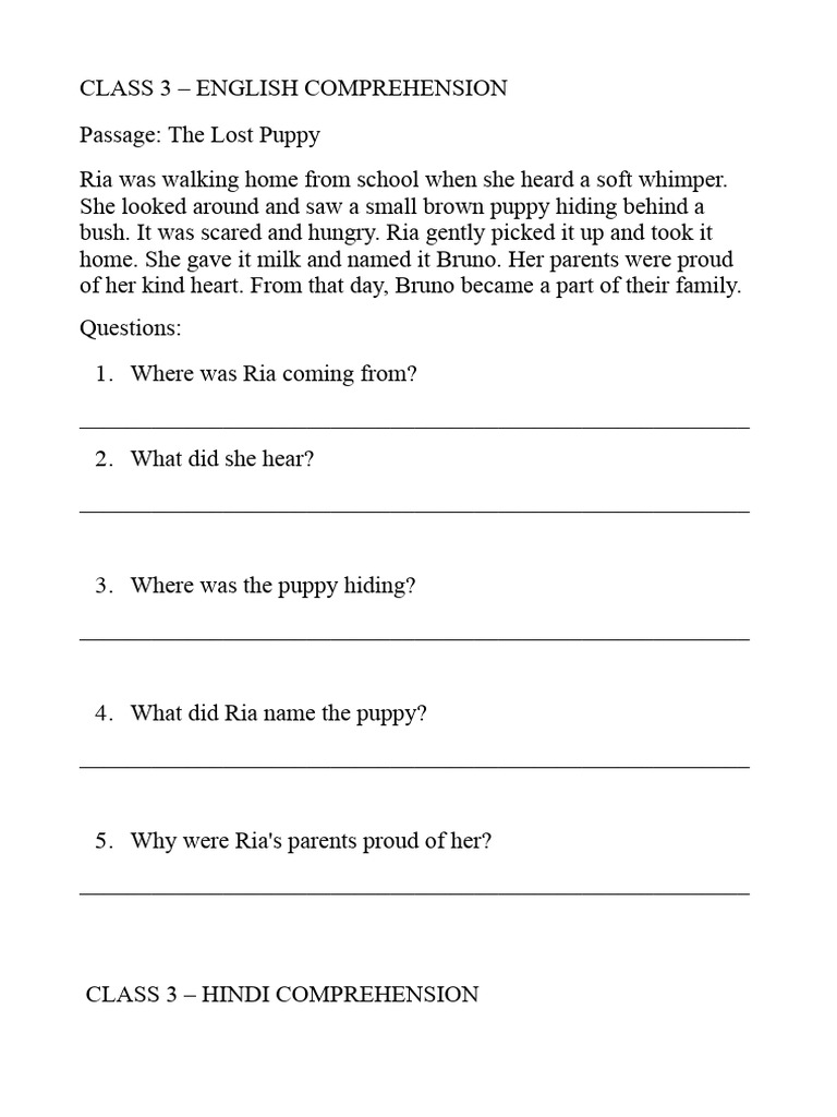 Class 3rd, 5th Comprehensions and Make Sentences | PDF