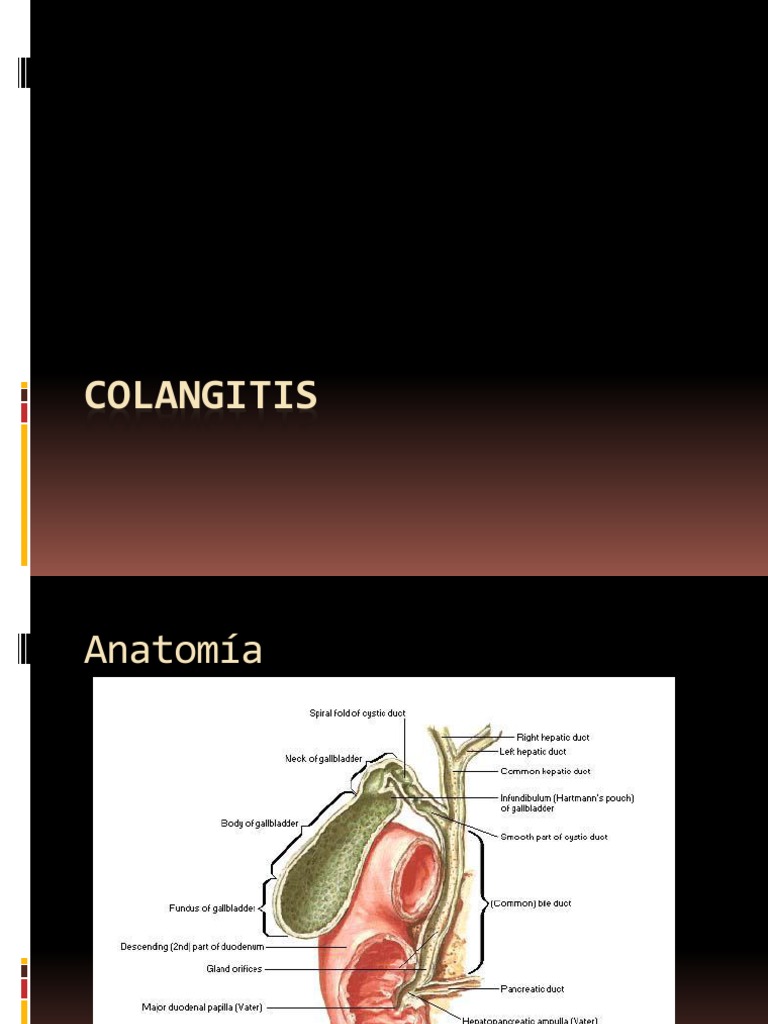 COLANGITIS | Inmunología | Hígado