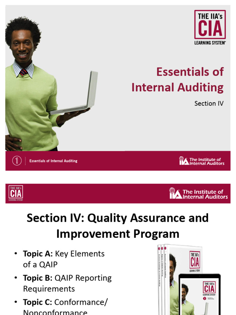 Quality Assurance in Internal Auditing | PDF | Internal Audit | Audit
