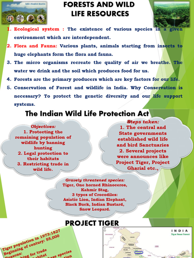 Forest Conservation and Wildlife in India | PDF | Wildlife | Natural ...