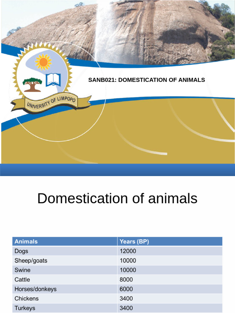 Domestication of Useful Animals | PDF | Domestication | Cattle